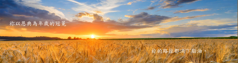 海外华人福音网 – OCBF.CA